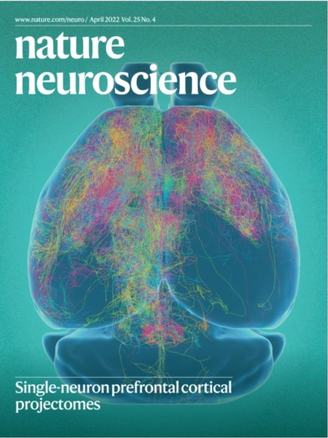 中国科学院脑科学数据中心