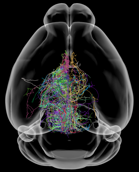 中国科学院脑科学数据中心