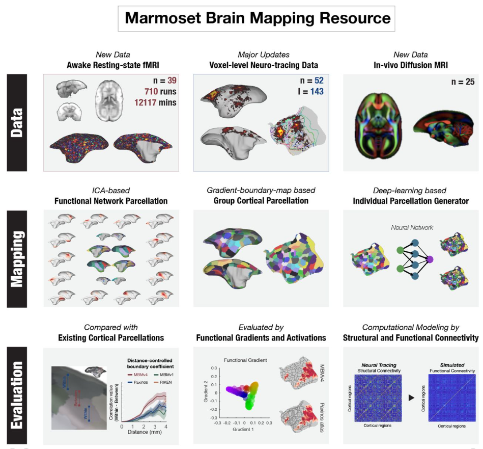 中国科学院脑科学数据中心